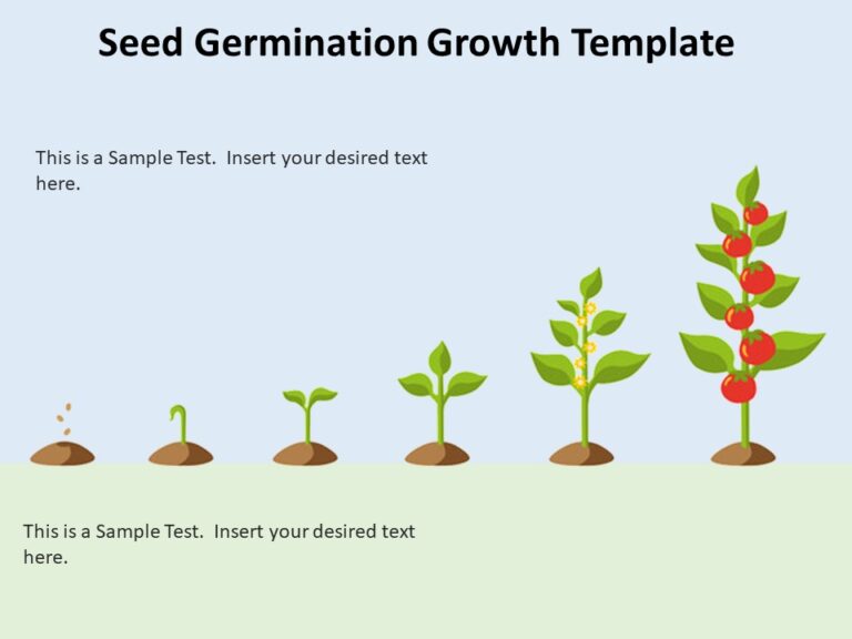 Seed Germination Growth PowerPoint Template Slide - Slidevilla